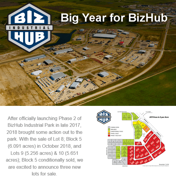 BizHub 2018 Update - BizHub Industrial Park